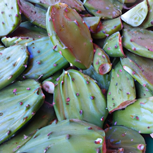 Are Nopales Good for You? An Exploration of Their Health Benefits and ...