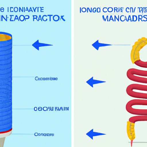 Are You Awake for a Colonoscopy? Exploring Risks and Benefits - The ...