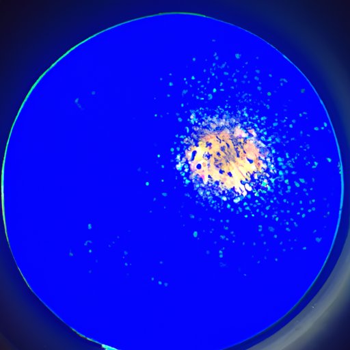How Hela Cells Have Advanced Science: Examining the Benefits and ...