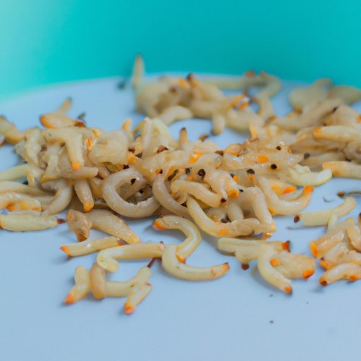 Maggots in Your Private Area: Causes, Symptoms, and Prevention - The ...
