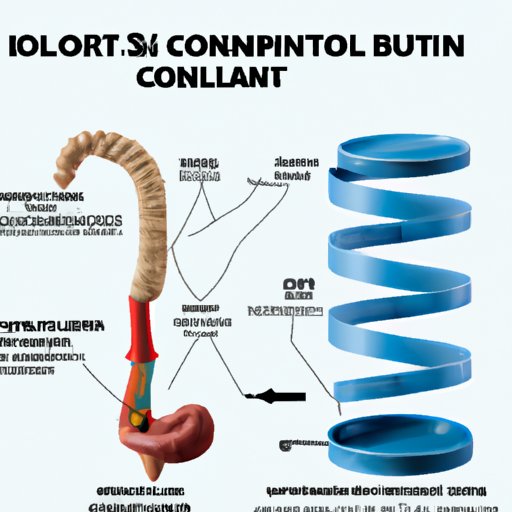 What is Colonic Irrigation and How Does it Work? - The Enlightened Mindset