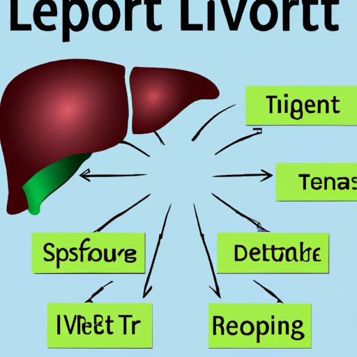 How Does a Liver Transplant Work? Exploring the Steps, Risks & Benefits ...