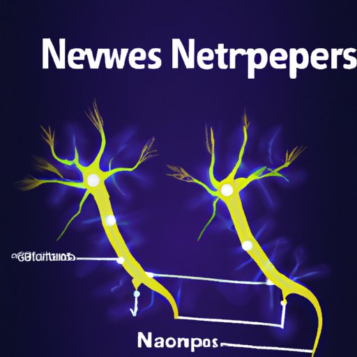 How Does a Nerve Impulse Travel: A Comprehensive Guide - The ...