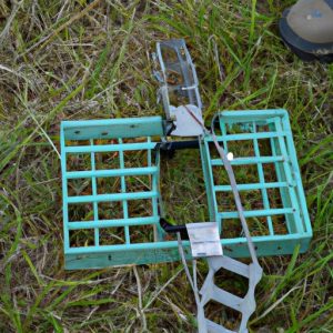How Does a Snare Trap Work? A Comprehensive Guide - The Enlightened Mindset
