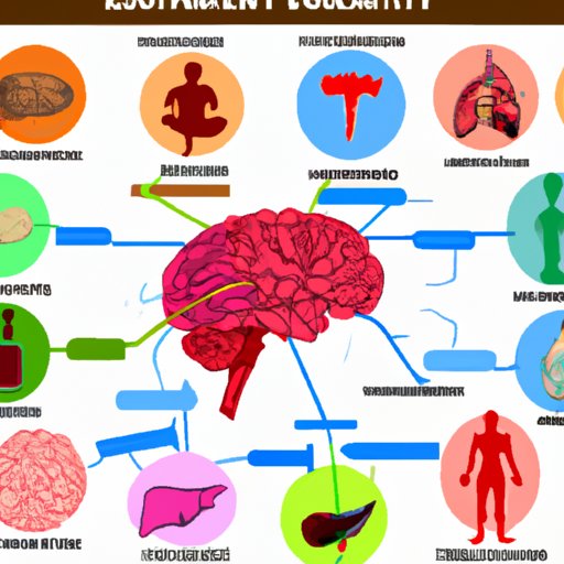 How Does Alcohol Travel Through the Body? - The Enlightened Mindset