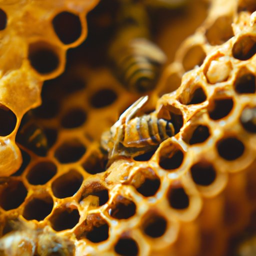 How Bees Make Honeycomb: Exploring the Anatomy, Process, and Benefits - The Enlightened Mindset