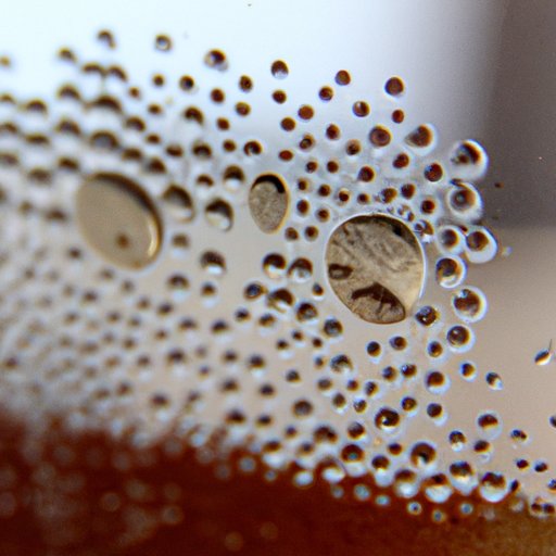 How Does Carbonation Work? Exploring the Science and Process of ...