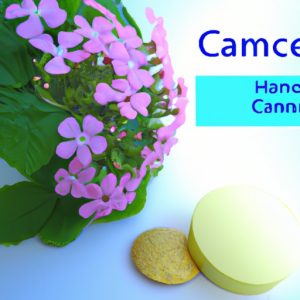 How Does Chemo Work? Exploring the Science, Types, Risks, and ...