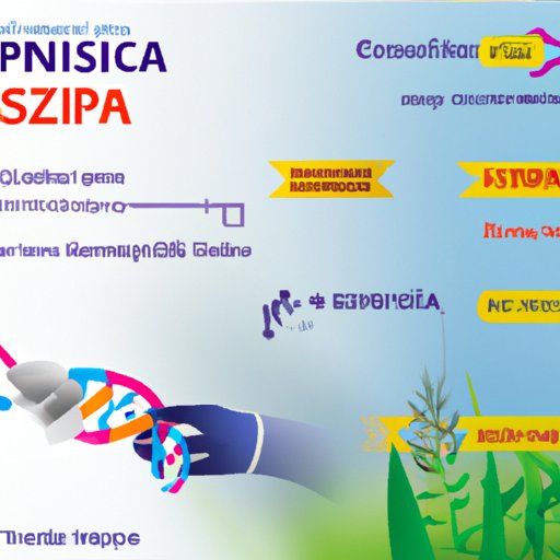 Exploring How CRISPR Works: Benefits, Risks and Potential Uses - The ...