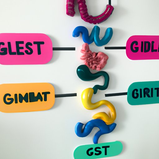 How Does the Digestive System Work? An In-Depth Overview - The ...