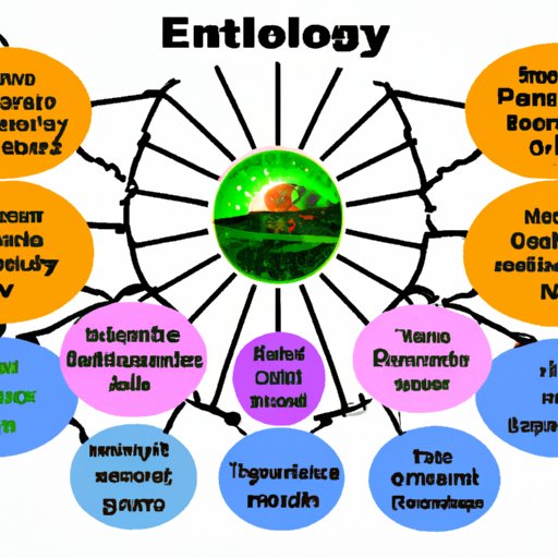 Exploring How Energy Travels in an Ecosystem - The Enlightened Mindset