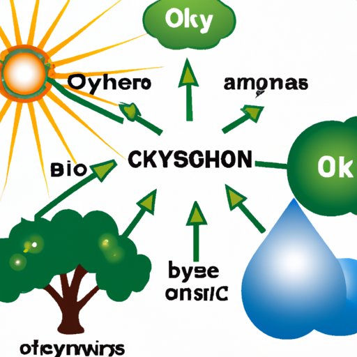 Exploring the Science of Oxygen: How Does It Work? - The Enlightened ...