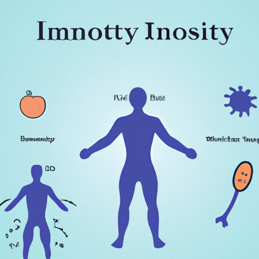 How Does the Immune System Work? – From Overview to Boosting Your ...