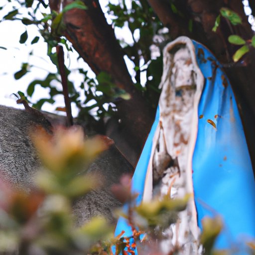 How Far Did Mary Travel to See Elizabeth? Exploring Her Epic Journey ...