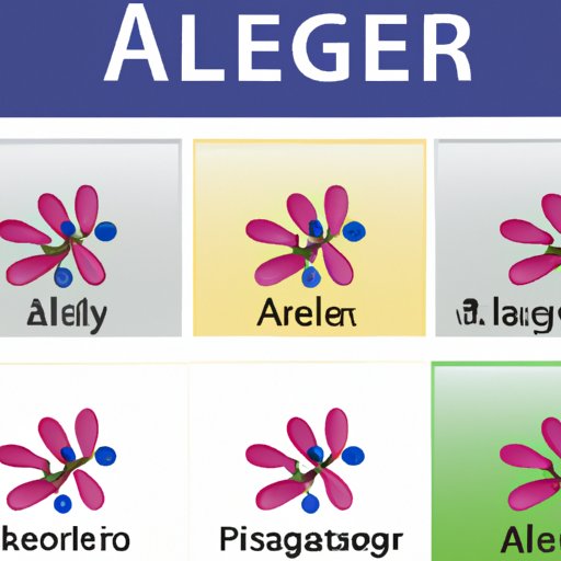 How Long Does It Take Allegra to Work? Exploring the Effects of this ...