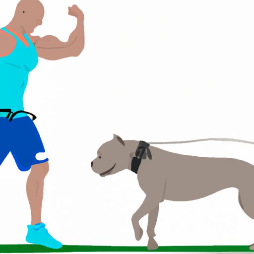 Exercise Needs of Pitbulls: A Comprehensive Guide - The Enlightened Mindset