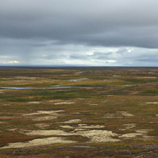 How Much Precipitation Does the Tundra Get? An Exploration of Average ...
