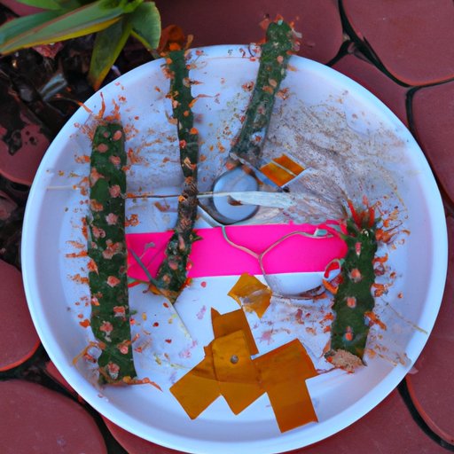 Exploring the Psychedelic Effects of San Pedro Cactus Trips and How to ...