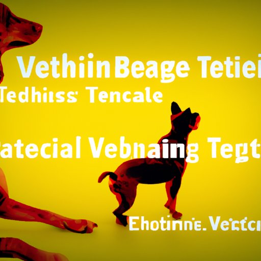 How Much Schooling Is Required To Become A Vet Tech The Enlightened