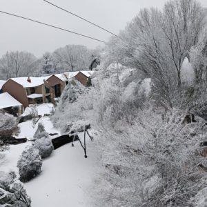 How Much Snow Does Nashville Get? Exploring Average Snowfall in the ...