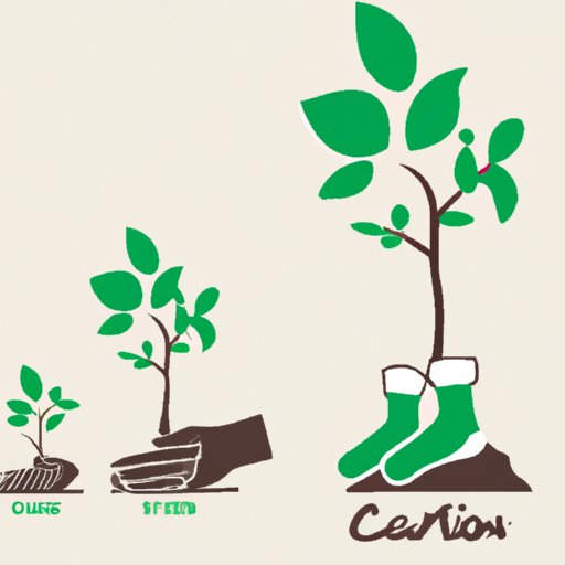 How to Be More Tree: Plant, Reduce Carbon Footprint, Support, and ...