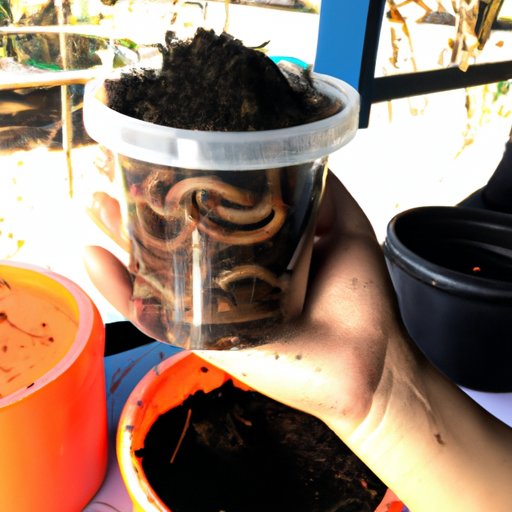 How to Culture Blackworms: A Guide for Beginners - The Enlightened Mindset