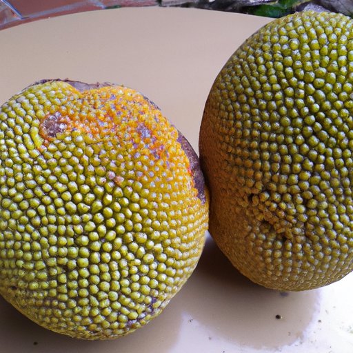 Eating a Breadfruit: A Step-by-Step Guide to Enjoying this Tropical ...