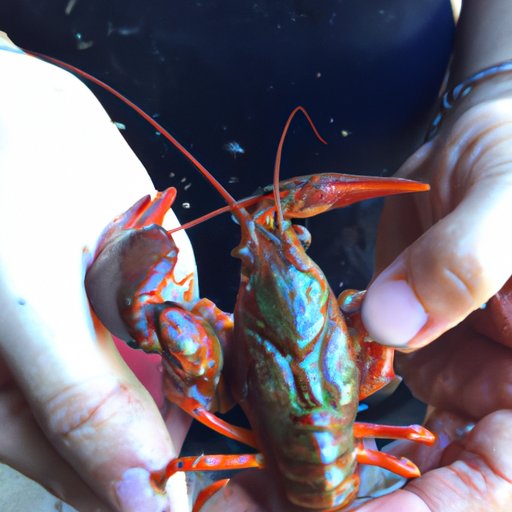 How to Eat Crawfish: A Step-by-Step Guide for Beginners - The ...