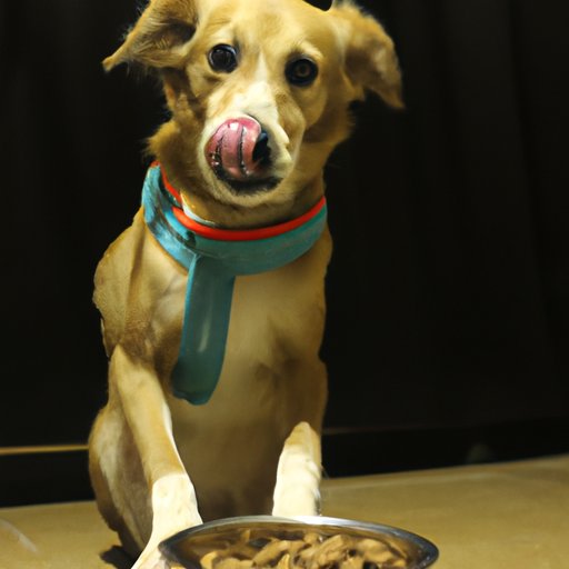 How to Eat a Dog – A Step-by-Step Guide for Enjoying a Delicious Meal ...