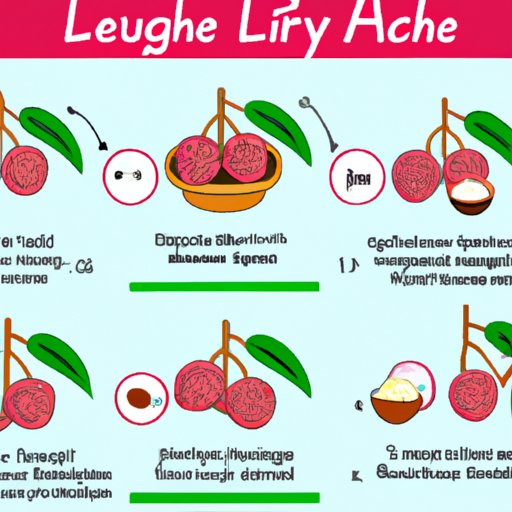 How to Eat a Lychee Fruit: A Step-By-Step Guide - The Enlightened Mindset