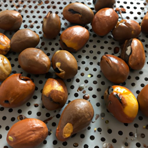 How to Eat an Avocado Seed: Boiling, Roasting, Grinding, Drying, and ...