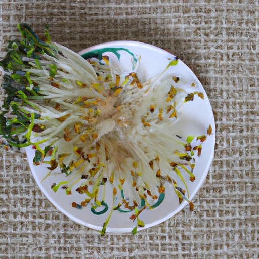 How to Eat Broccoli Sprouts: Delicious Recipes and Benefits - The ...