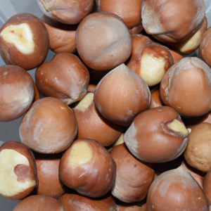 How to Eat Hazelnuts – A Comprehensive Guide - The Enlightened Mindset