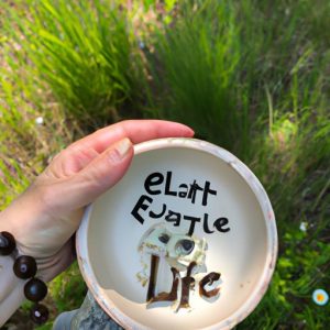 How to Eat Life: Strategies for Maximizing Your Happiness and ...