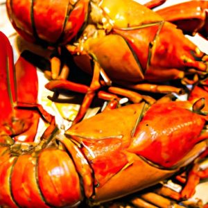How to Eat Lobsters: A Comprehensive Guide - The Enlightened Mindset
