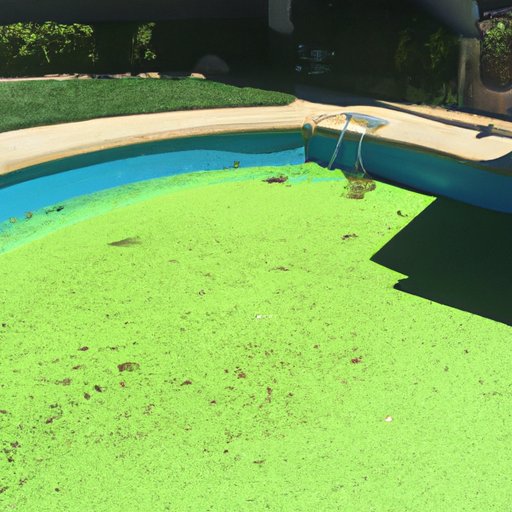 How to Keep Your Pool from Turning Green While on Vacation - The ...
