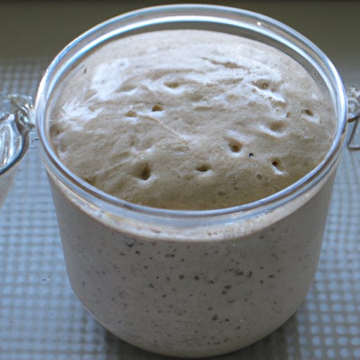 How to Make Sourdough Bread Starter From Scratch – A Comprehensive ...