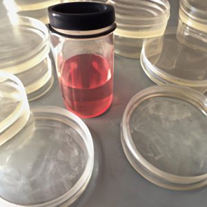 How to Obtain a Wound Culture: A Step-by-Step Guide - The Enlightened ...