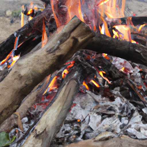 How to Start a Fire in the Woods: Gather Fuel, Choose a Spot, and ...