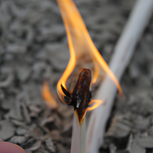 Starting a Fire with a Lighter: A Step-by-Step Guide - The Enlightened ...