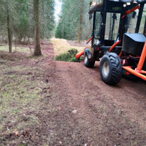 Starting a Forestry Mulching Business: Outlining the Steps to Success ...