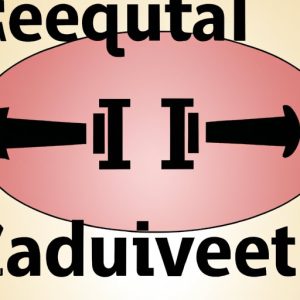 How to Start a Rebuttal: A Comprehensive Guide - The Enlightened Mindset