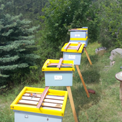 How to Start Bee Hives: A Comprehensive Guide - The Enlightened Mindset