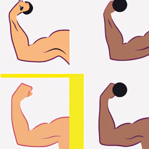 How to Work Out Your Biceps: Exercises, Benefits, Tips & Safety ...