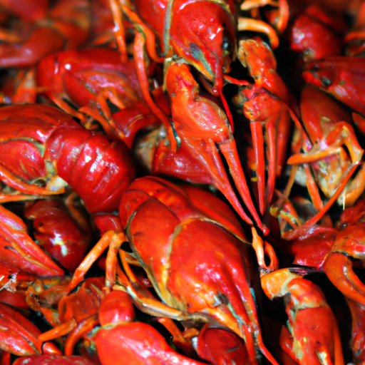 How to Eat Crawfish: A Step-by-Step Guide and Delicious Recipes - The ...