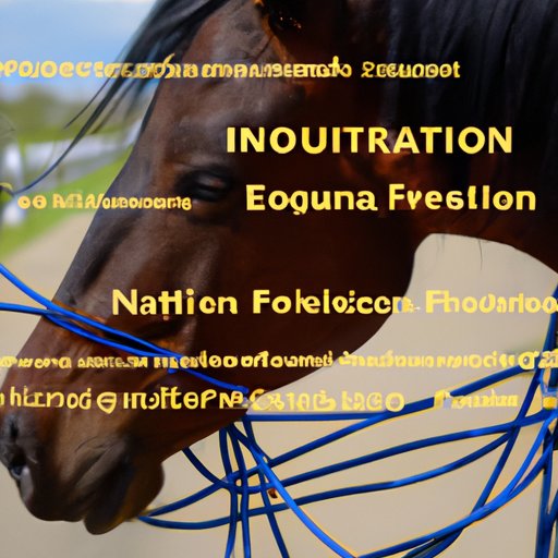 Is an Equine Science Degree Worth It? Exploring the Pros, Cons, and ...