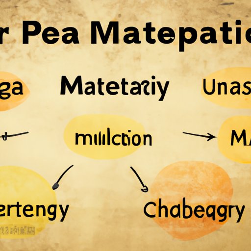 Is an MPA a Master of Arts or Science? Exploring the Benefits, Cost and ...