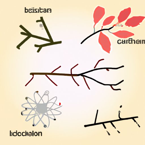 Exploring the Three Branches of Science: Biology, Chemistry, and ...