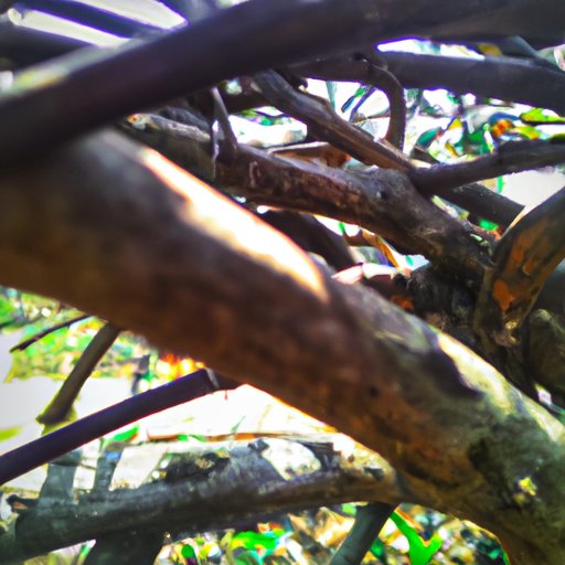 Exploring the Different Branches of Science: A Comprehensive Guide ...