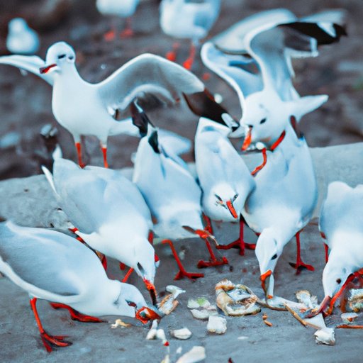 What Can Seagulls Eat? Exploring the Diet of These Popular Birds - The ...